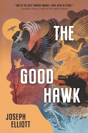 The Good Hawk (Shadow Skye, Book One) - Candlewick Press