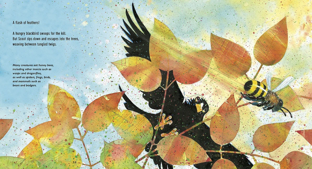 Flight of the Honey Bee - Candlewick Press