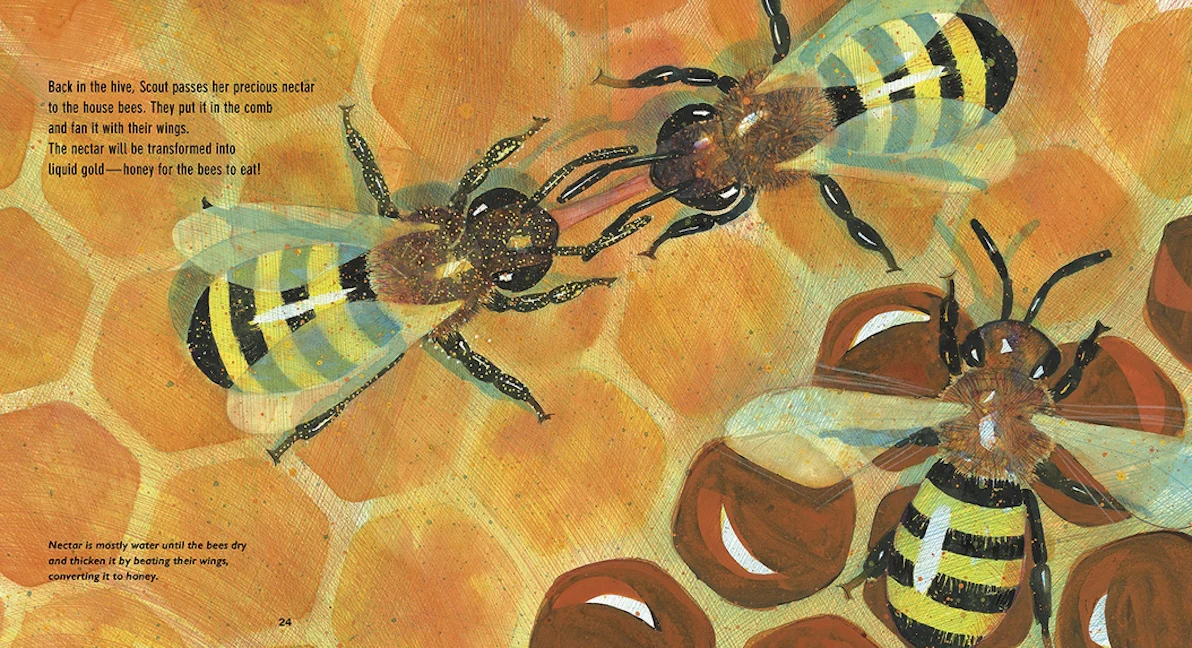 Flight of the Honey Bee - Candlewick Press