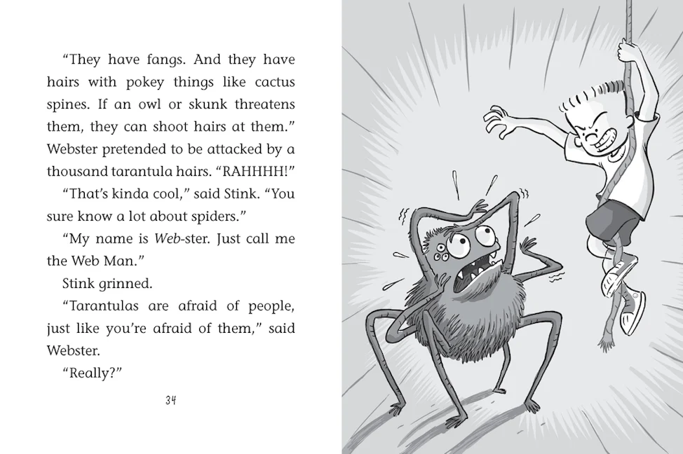 Stink and the Hairy Scary Spider - Candlewick Press
