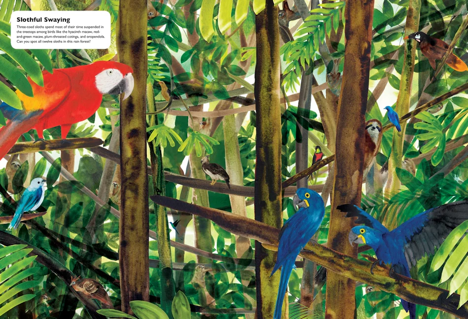 Masters of Disguise: Camouflaging Creatures & Magnificent Mimics ...