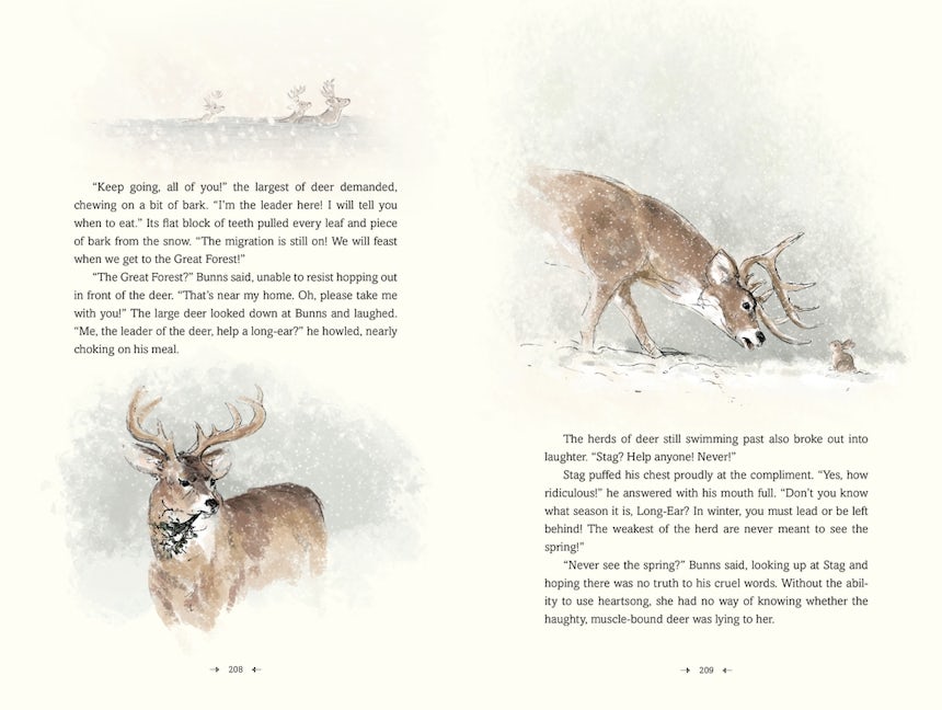 Bunns Rabbit - Candlewick Press