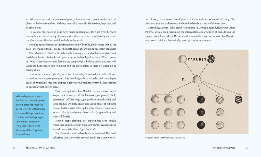 Discovering Life’s Story: The Evolution of an Idea - Candlewick Press