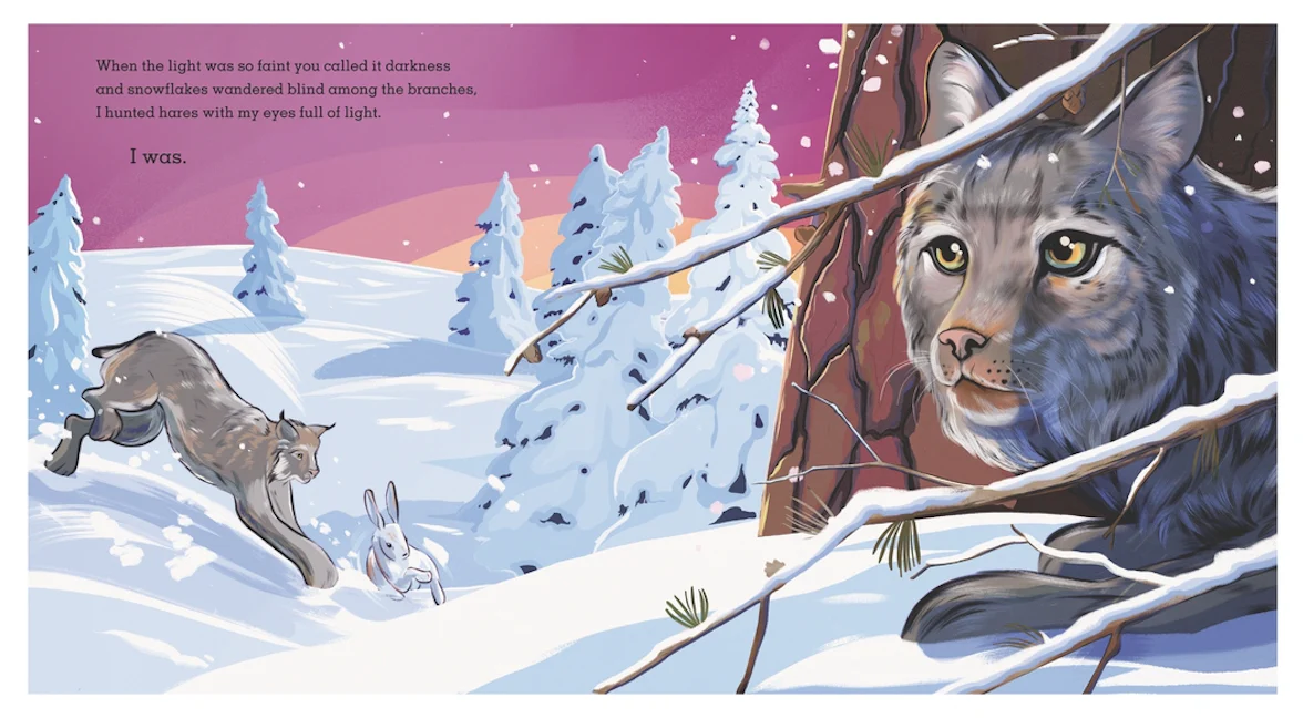 I Was: The Stories of Animal Skulls - Candlewick Press