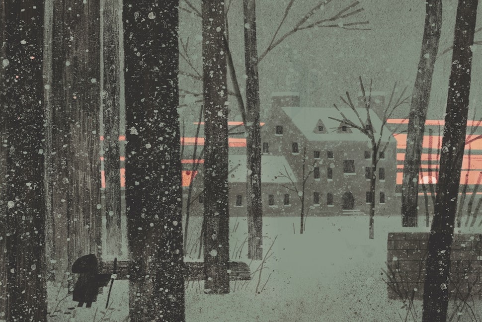 The Skull - Candlewick Press