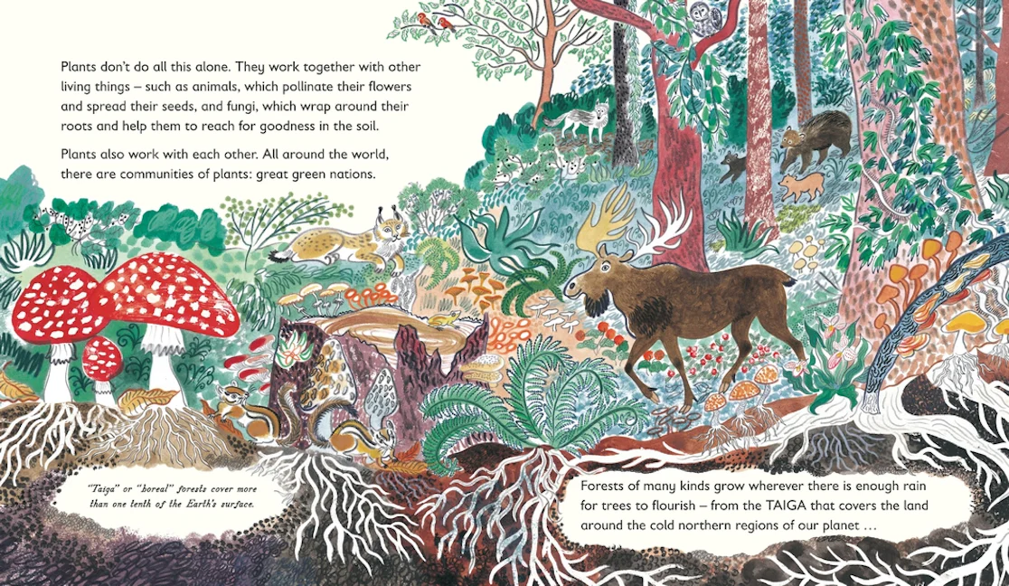 Green: The Story of Plant Life on Our Planet - Candlewick Press