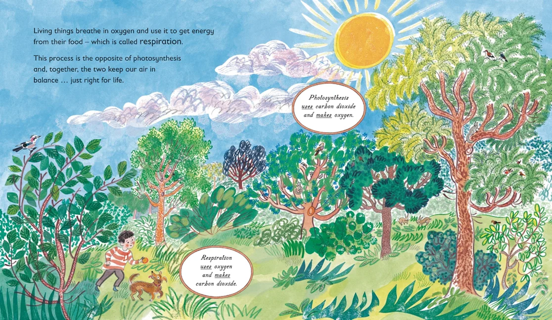 Green: The Story of Plant Life on Our Planet - Candlewick Press