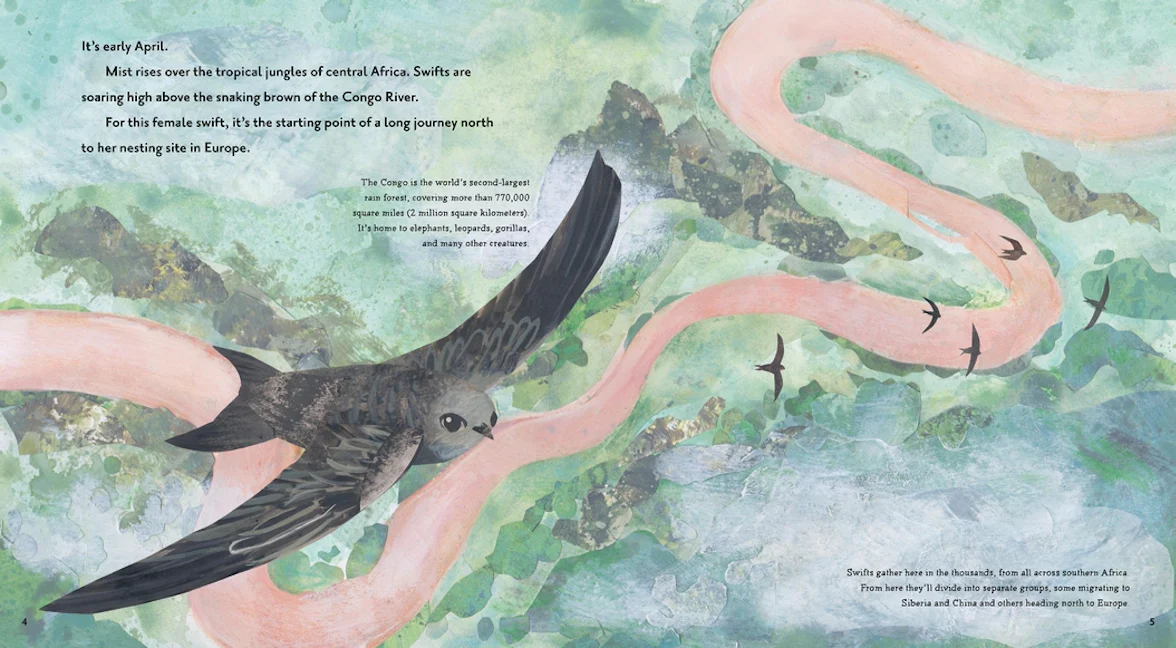 Super Swifts: Small Birds with Amazing Powers - Candlewick Press