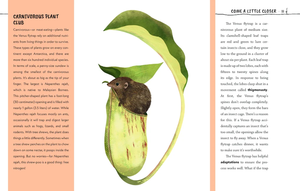 Fantastic Flora: The World’s Biggest, Baddest, and Smelliest Plants ...