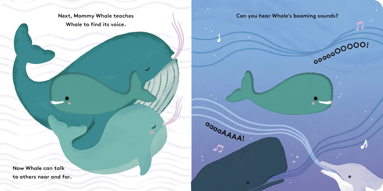 Whale - Candlewick Press