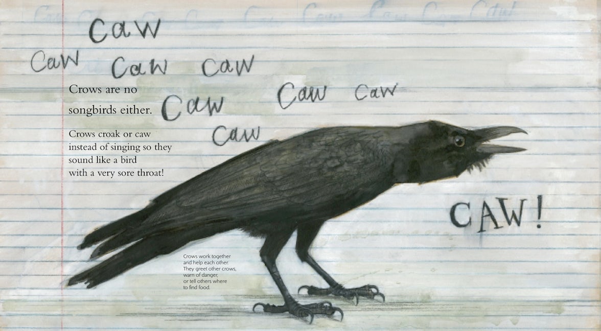 Clever Crow - Candlewick Press
