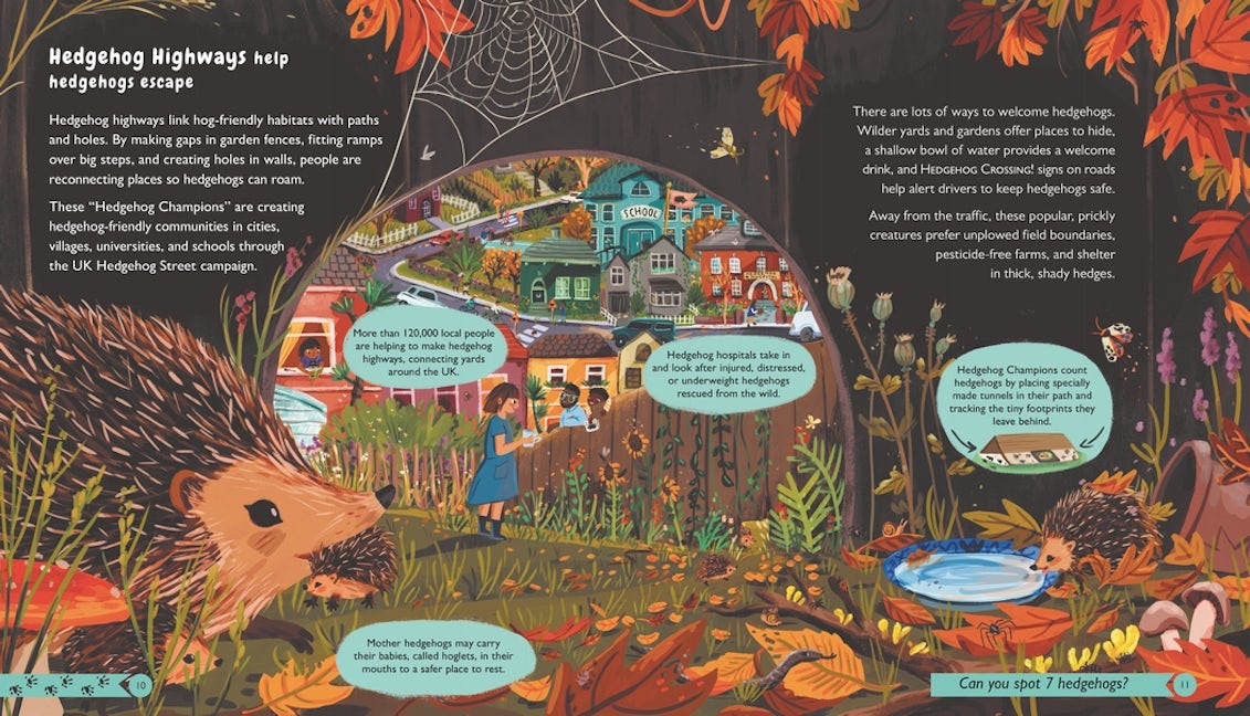 Wildlife Crossings: Protecting Animal Pathways Around the World ...