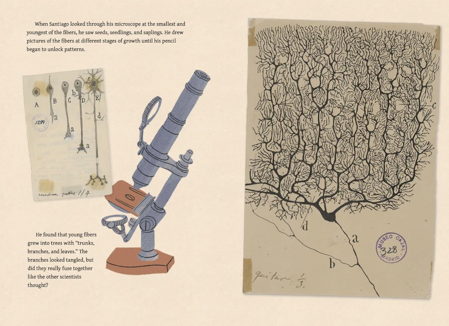 Santiago Saw Things Differently - Candlewick Press