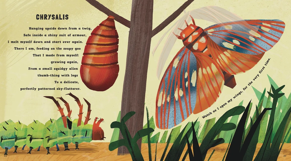Wriggle and Buzz: My First Book of Bugs - Candlewick Press