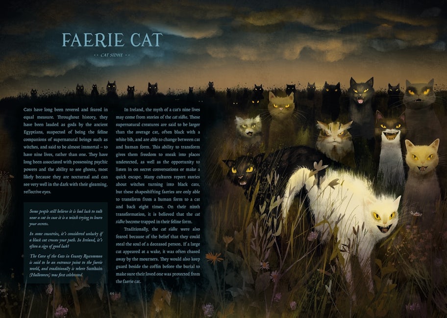 The Faerie Isle: Tales and Traditions of Ireland’s Forgotten Folklore ...